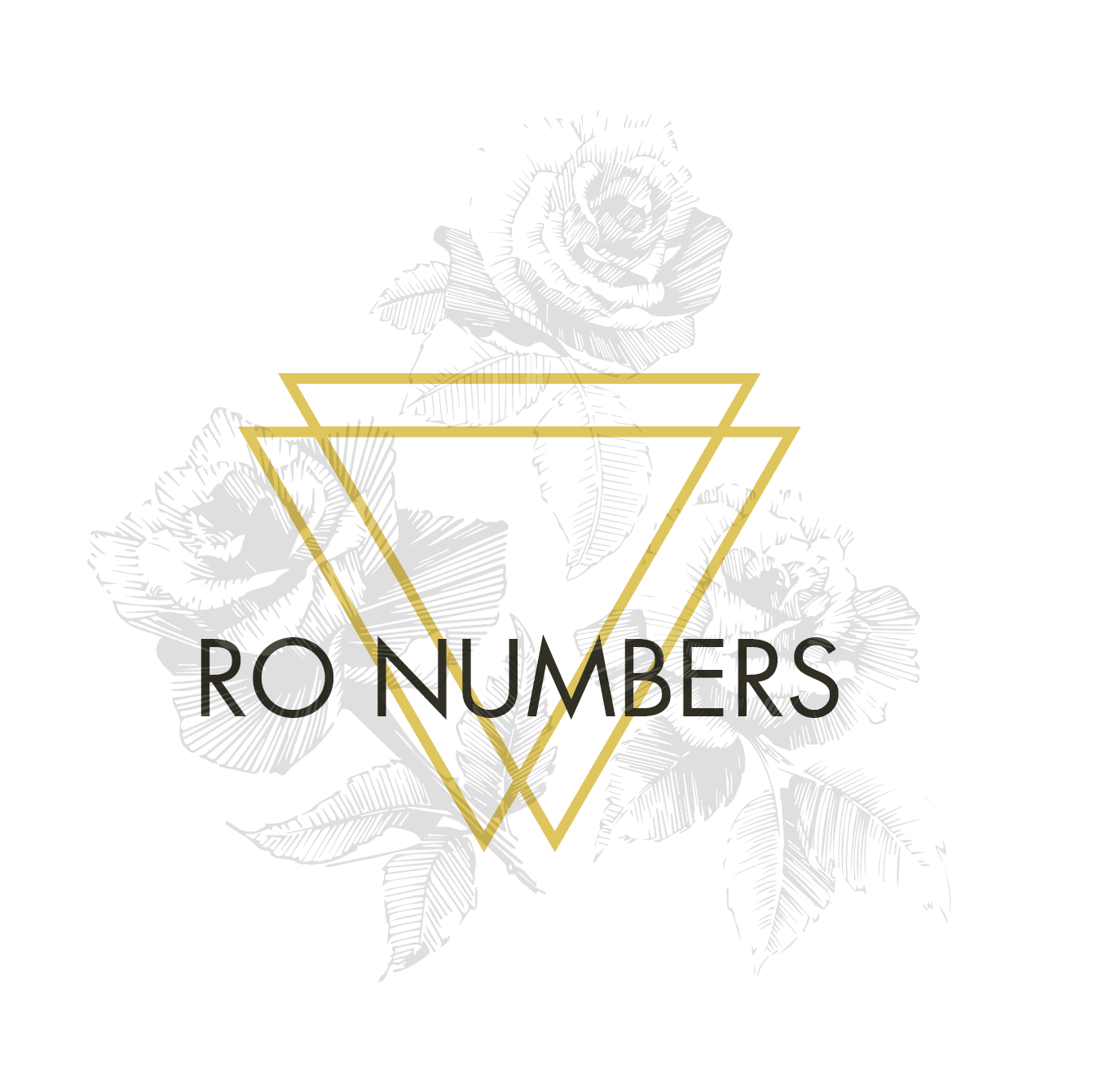 RO NUMBERS | Servicios Numerológicos